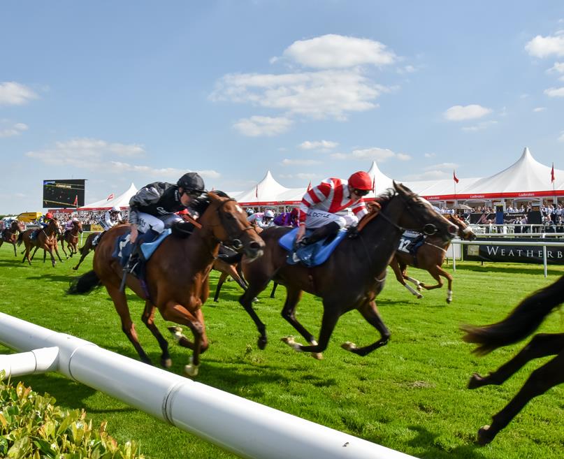 » Doncaster-Races